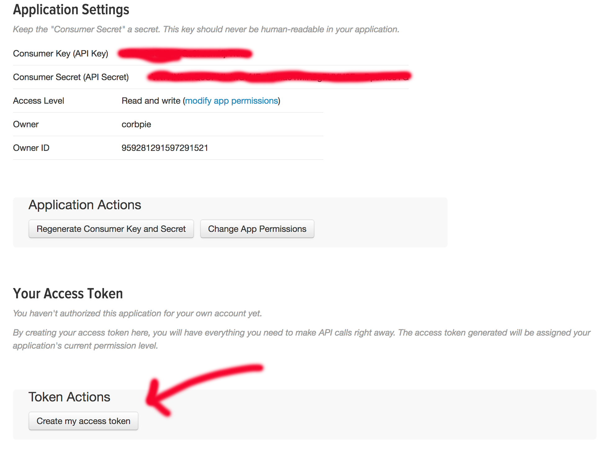 How to get your Twitter api keys – write