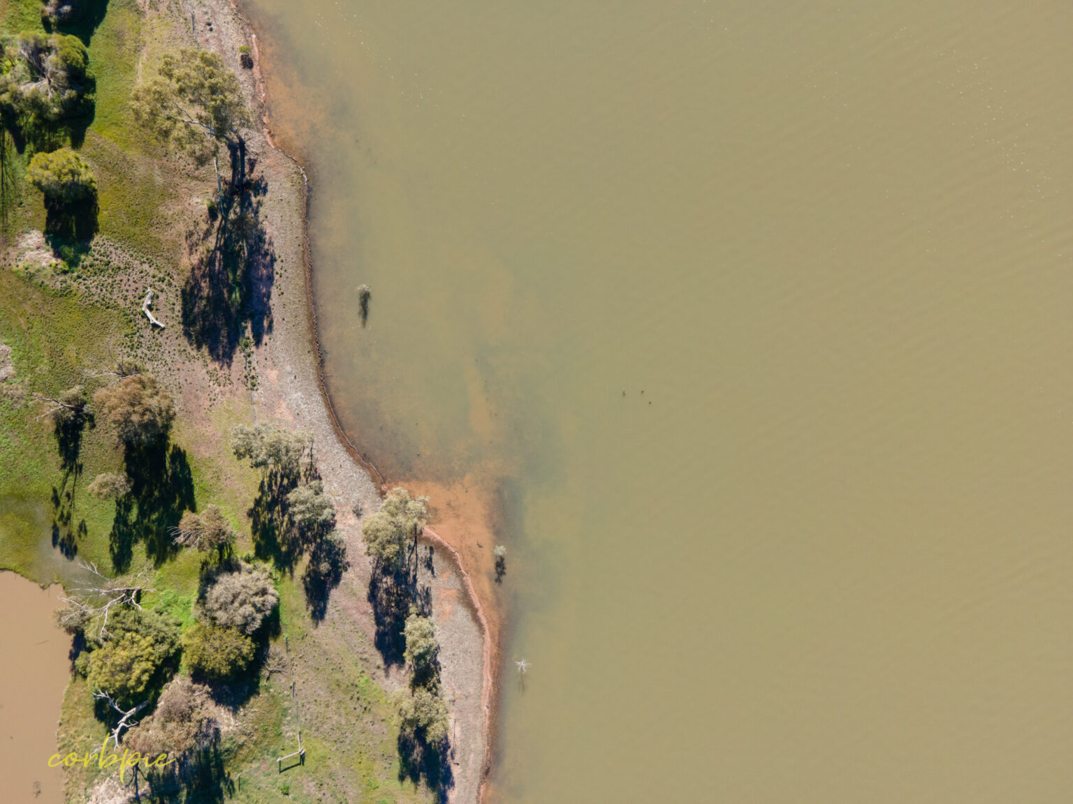A full Waranga Basin by drone