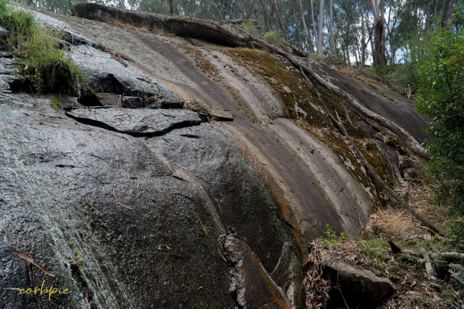Lima Falls; Strathbogie forest
